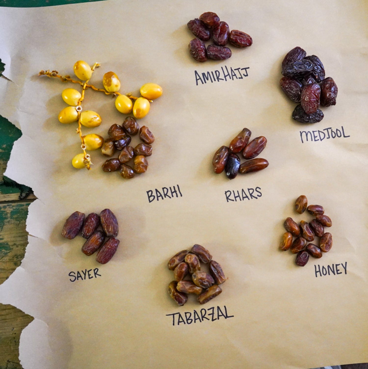 The different types of Dates – Sphinx Date Co.